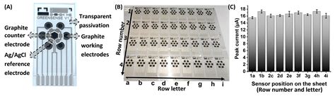 Electrochemical Diffusion Study In Polyethylene Glycol Dimethacrylate