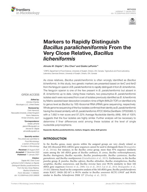 Pdf Markers To Rapidly Distinguish Bacillus Paralicheniformis From