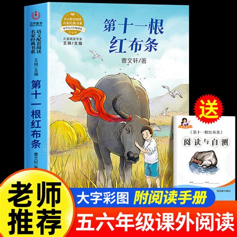 第十一根红布条曹文轩经典作品赏析系列 儿童文学小学生课外阅读书籍三四五六年级拓展读物青少年版5 6年级语文配套阅读故事书目虎窝淘