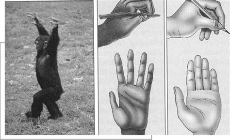 全屏显示 专题 章节