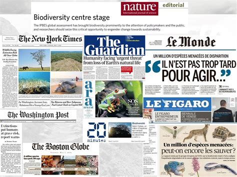1 Million Species At Risk Of Extinction Biodiversity Takes Social Media By Storm The Shorty