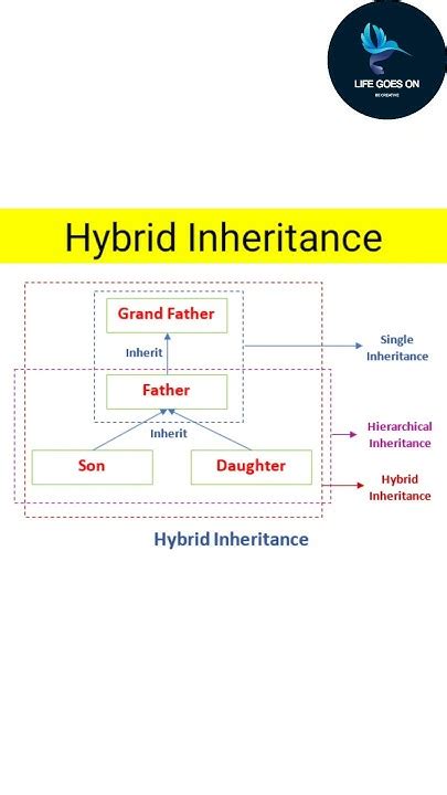 Hybrid Inheritance L Java Concepts L Java Basics L Life Goes On Youtube