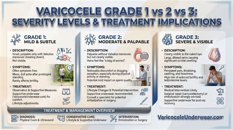 Varicocele Vs Hydrocele Symptoms And Diagnosis Guide 2026