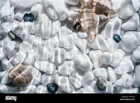 Creative Background Abstract Image Of Medium Sized White Black Rounded