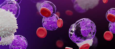 Pml Rara Pcr Quantidex Qpcr Pml Rara Kit Asuragen