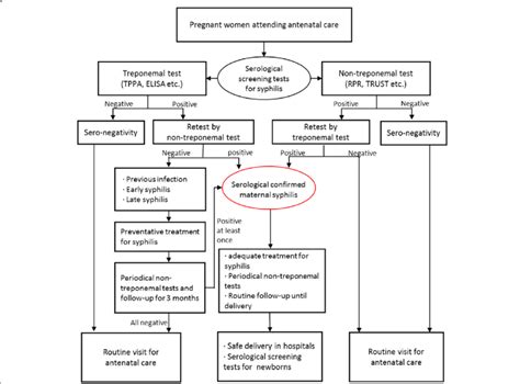 Flowchart Of The Pmtct Services Of Syphilis In Shanghai The 2011 Version Download Scientific
