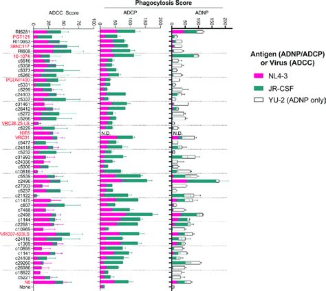 Effector Function And Binding Across Hc Antibodies And Bnabs Download Scientific Diagram