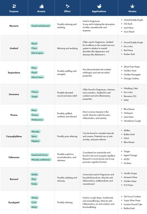 Cannabis Terpenes Chart And Guide For Beginners Nuggmd