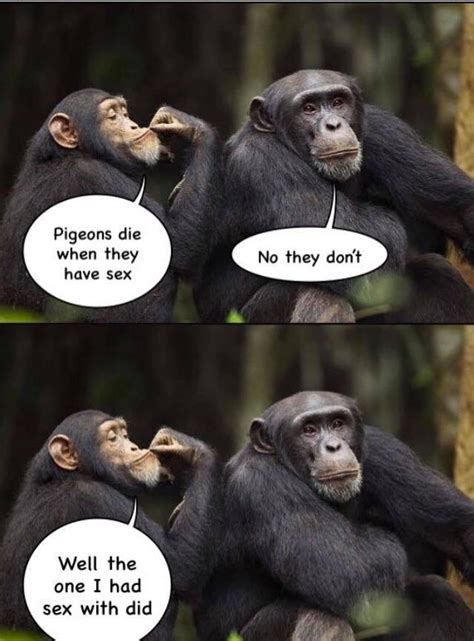 At The Intersection Of Gross Sex Humour And Lel So Randem Xd Lies This R Comedycemetery