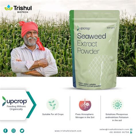 High Quality Upcrop Seaweed Extract Water Soluble Powder Biostimulant At Best Price In Sivakasi