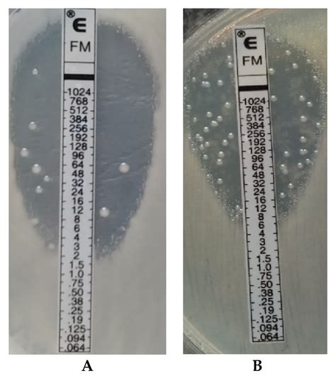 In Vitro Susceptibility Of Multi Drug Resistant Klebsiellapneumoniae