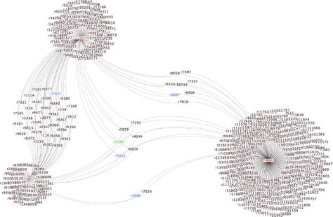 Subnetwork Extracted From The Two Mode Respondent And Consultation Download Scientific
