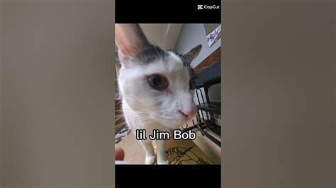 Lill Jim Bob Youtube