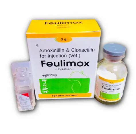 Ampicillin And Cloxacillin Veterinary Injection 3 G At ₹ 105 In Roorkee