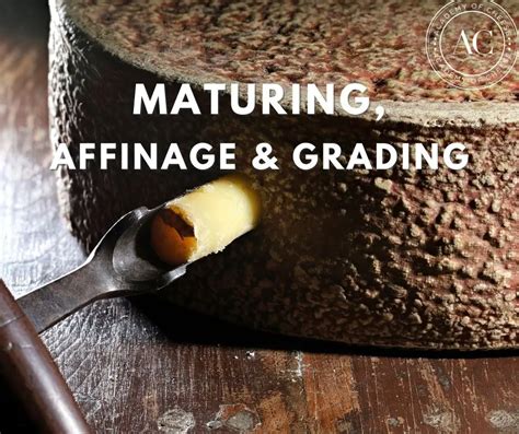 Affineur Of The Year The Art Of Cheese Maturation Comes Of Age