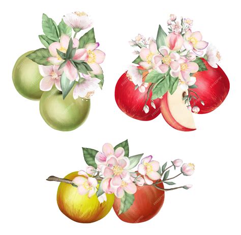Apple Blossom Tree Clipart