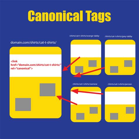 What Are Canonical Tags Digital Acclivity