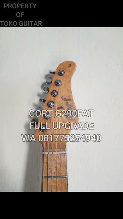 Gitar Cort G290 Fat Full Upgrade For Sale Guitar Jualefekgitar