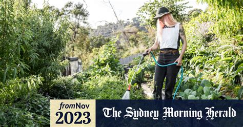 wet the bed how to ensure you re watering your garden properly