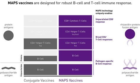 Affinivax Axial Linktr Ee Axialxyz By Axial Mar 2023