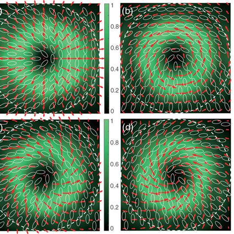 Polarization Conversion From The Lp01x Mode To Vector Modes The