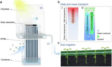Harnessing Natures Moisture Innovative Sustainable Water Extraction
