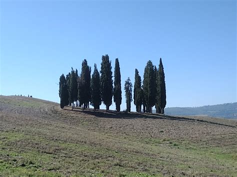 2023 09 29 trees trees trees welcome to our world