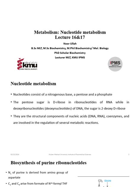 4 Nucleotide Metabolism Pdf Nucleotides Biosynthesis