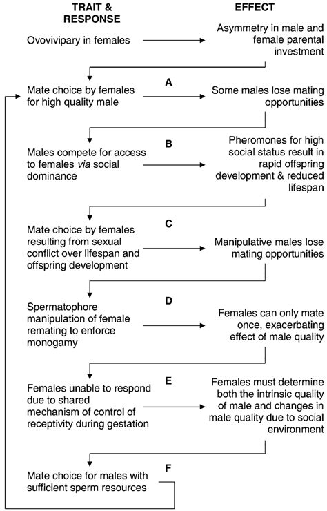 Example Of How Sexual Conflict And Sexual Selection May Result In The