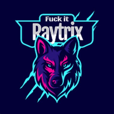 Raytrix Youtube