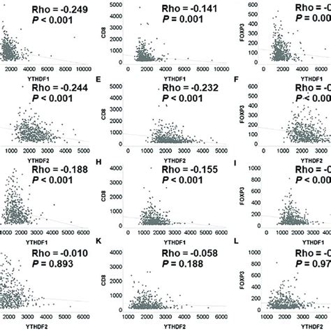 Correlation Among Ythdf1 Ythdf2 Cd4 Cd8 And Foxp3 Analyzed By