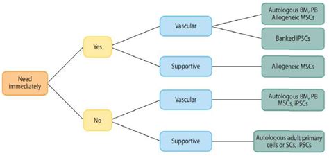 Example Of Decision Algorithm For Selection Of Non Parenchymal Cells To Download Scientific