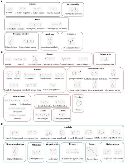 What Are Microbial Volatile Organic Compounds At Callum Fowler Blog