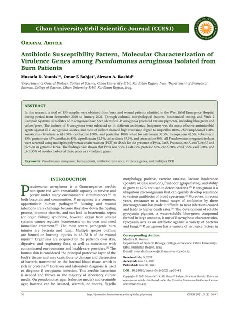 Pdf Antibiotic Susceptibility Pattern Molecular Characterization Of Virulence Genes Among