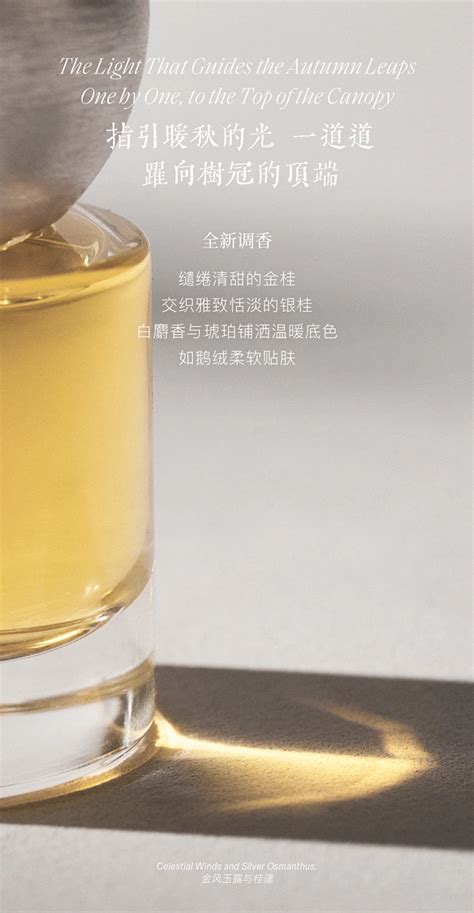 桂花开了 桂花，是秋的初衷。 花瓣网