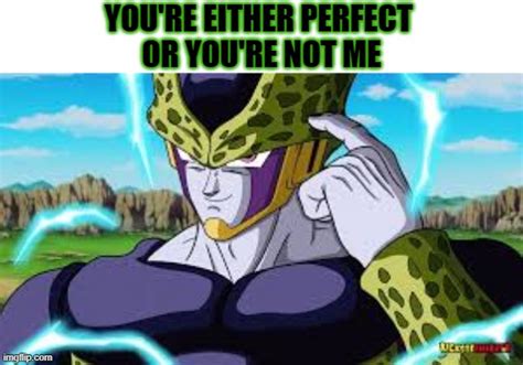 Youre Either Perfect Or Youre Not Me Imgflip