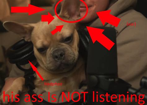 He Can Not Listen Rjakertown