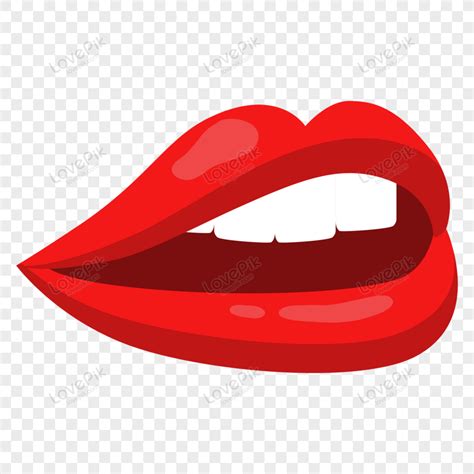 여성 입술과 치아 Png 일러스트 무료 다운로드 Lovepik