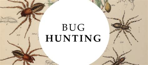 do web application testing and vulnerability assessment on your website