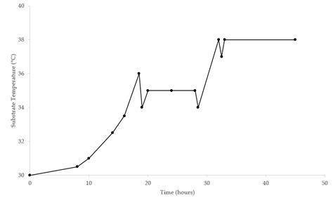 The Koji Making Process Temperature Mycelium And Moisture