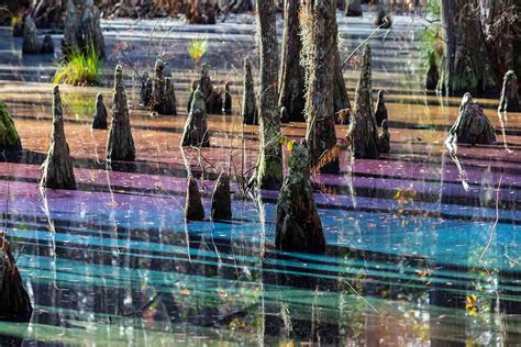 Stunningly Beautiful ‘rainbow Pools In Virginia Are Totally Natural