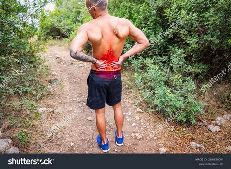 3 Disc Hernia Exercise Workout 이미지 스톡 사진 및 벡터 Shutterstock