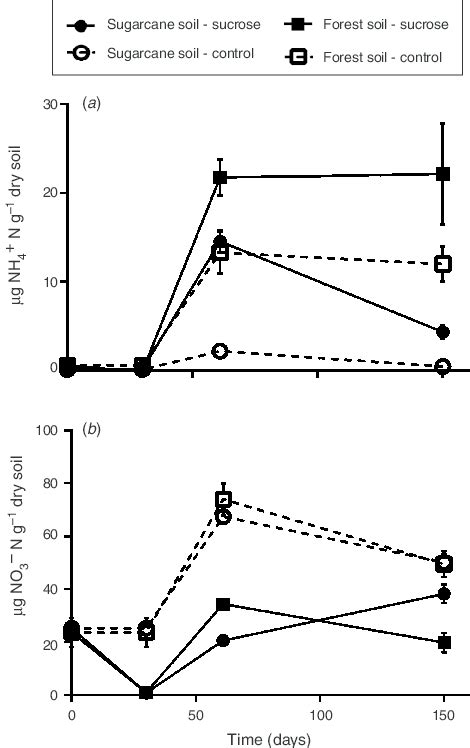 Kcl Extractable A Ammonium And B Nitrate In Sugarcane And Forest Download Scientific