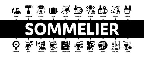 Sommelier Wine Tasting Minimal Infographic Banner Vector 17384519 Vector Art At Vecteezy