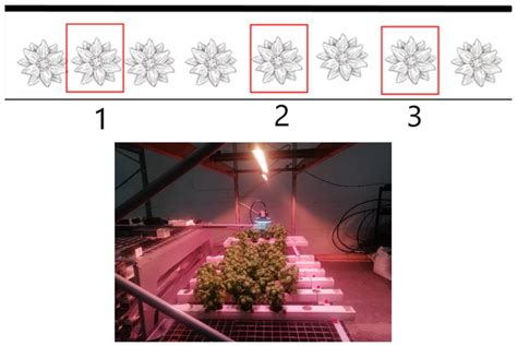 Autonomous Mobile Robot With Attached Multispectral Camera To Monitor The Development Of Crops