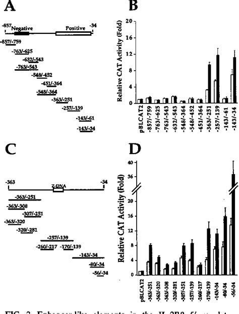 PDF Characterization Of The Human Interleukin Receptor Semantic Scholar