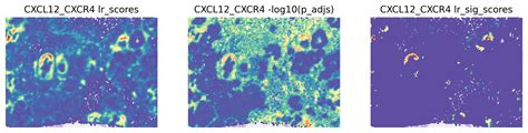 cell cell interaction analysis with xenium data stlearn documentation