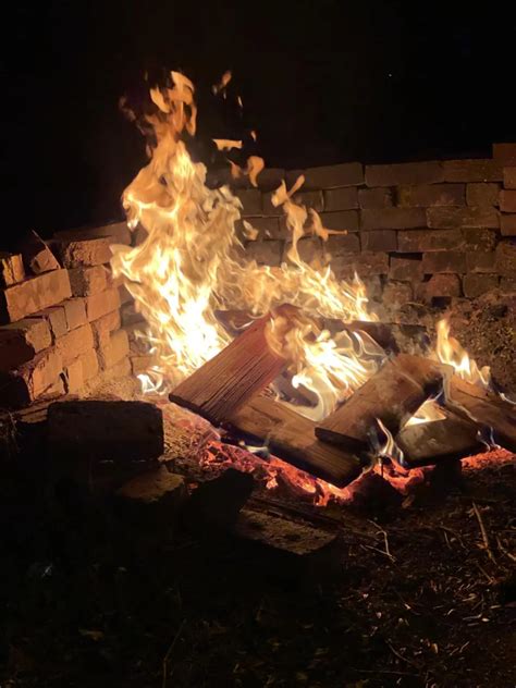 Kooley Jugo Refresco Refrescante Y Delicioso Jugando Ando