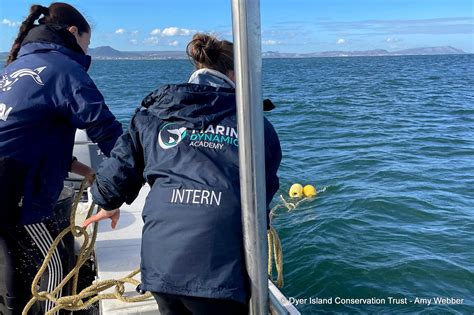 Baited Remote Underwater Video Deployments 2024 Dyer Island Conservation Trust