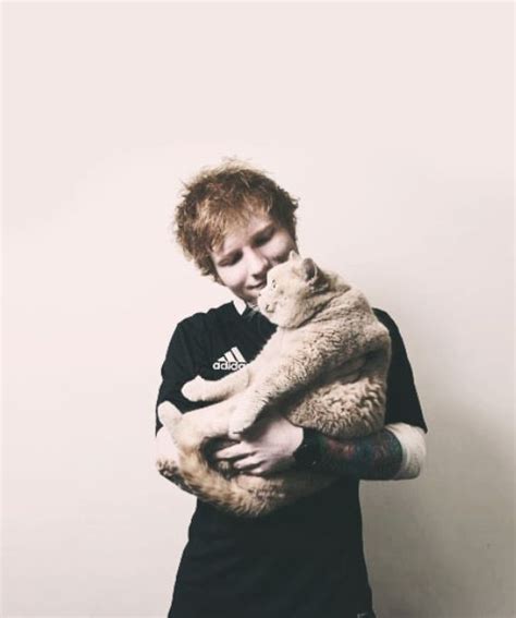 Ed Sheeran And A Cat Ed Sheeran Cats Cat People